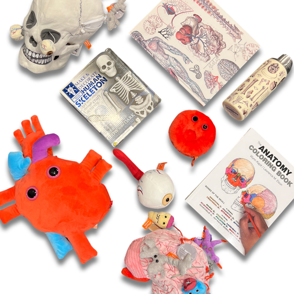 Spooky Science – Science Store