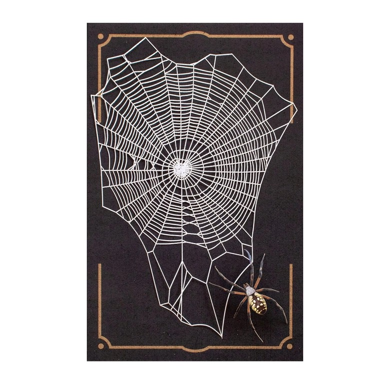 Halloween 'Weaver' Spiderweb & Spider Paper Set – Science Store