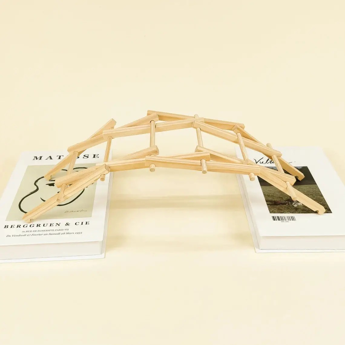 Da Vinci's Bridge DIY Kit – Science Store