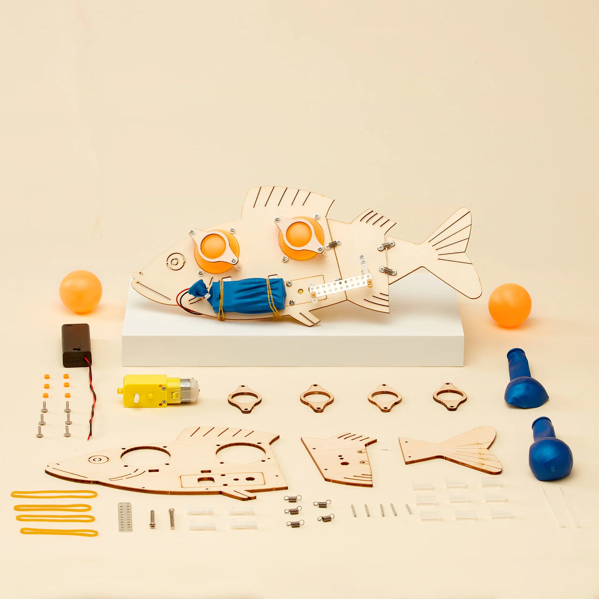 Fish Robot DIY Kit – Science Store
