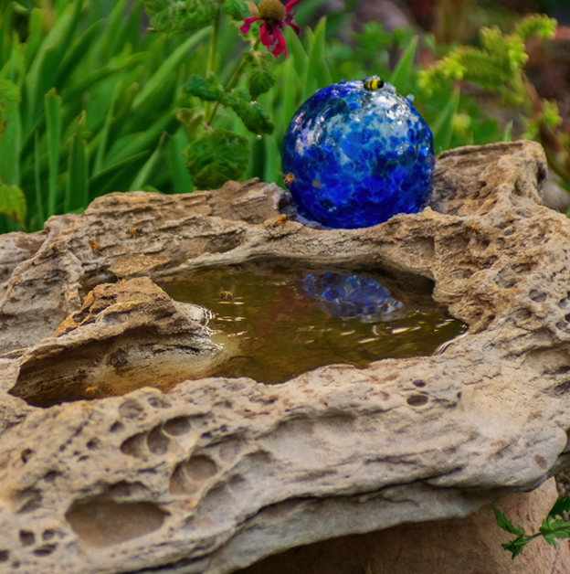 Garden Bee Bar – Science Store