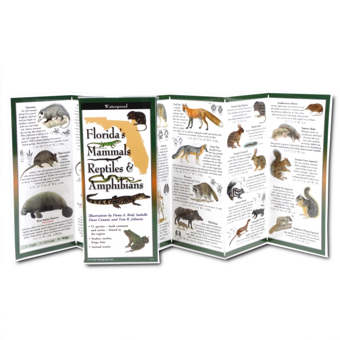 Field Guide – Science Store