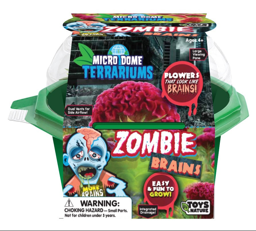 Zombie Brains Terrarium – Science Store