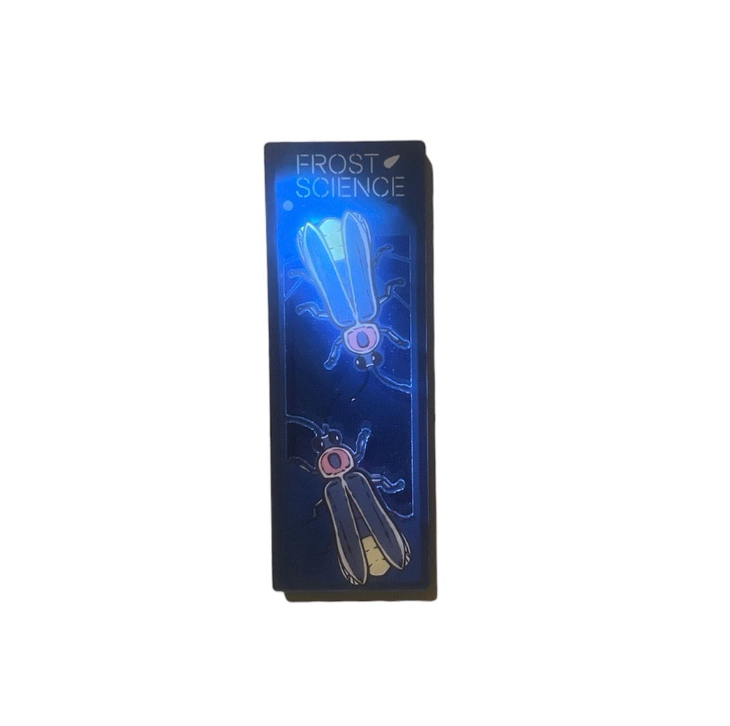 Frost Science Firefly Light up Magnet – Science Store