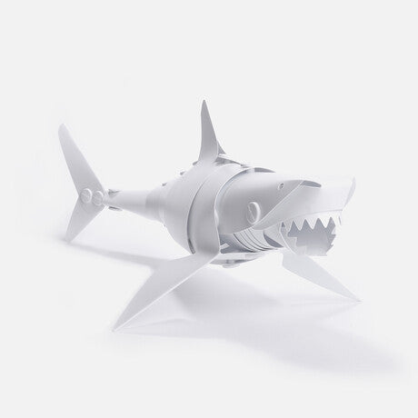 Heavy Eyes: Shark Model Kit – Science Store