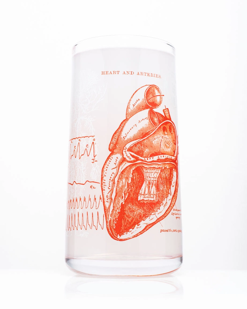Anatomical Heart Drinking Glass – Science Store