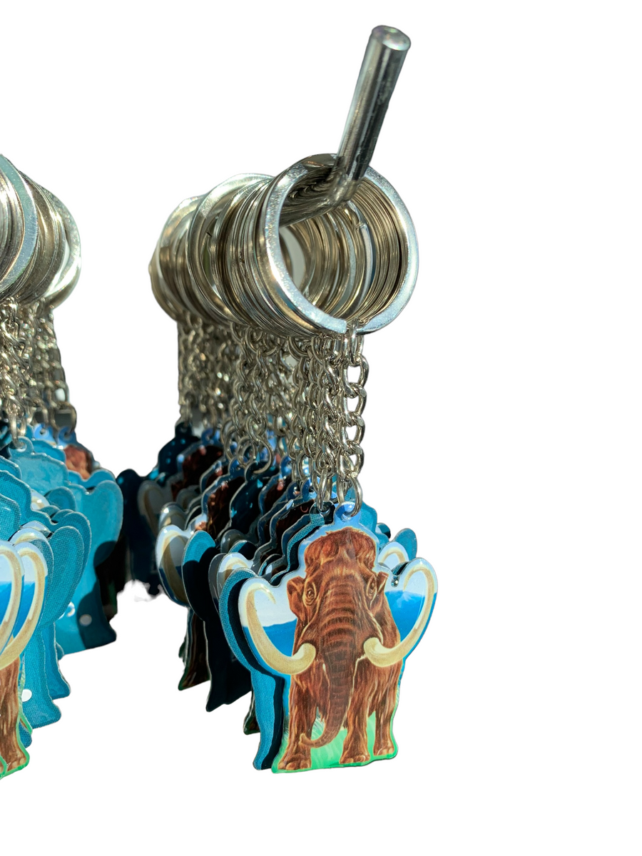 Woolly Mammoth Key Chain – Science Store