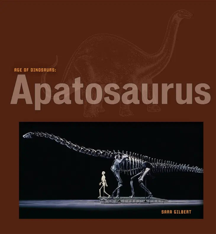 Ages of Dinosaurs: Apatosaurus – Science Store