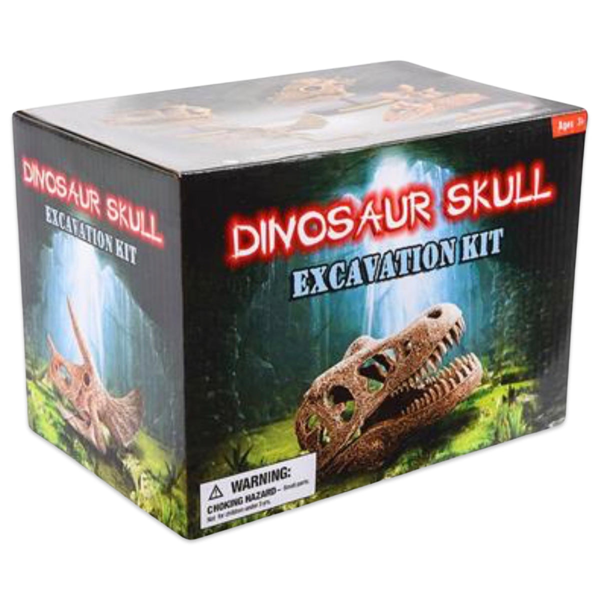 T-Rex Skull Excavation Kit – Science Store