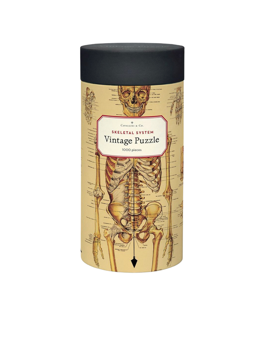 Skeletal System 1,000 Piece Puzzle – Science Store
